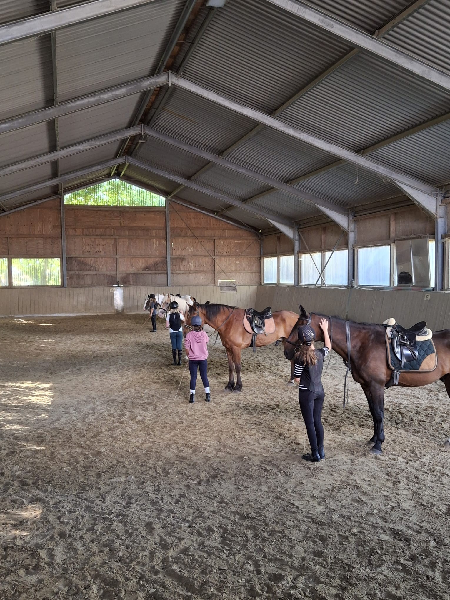 Reitschule In Der Nhe